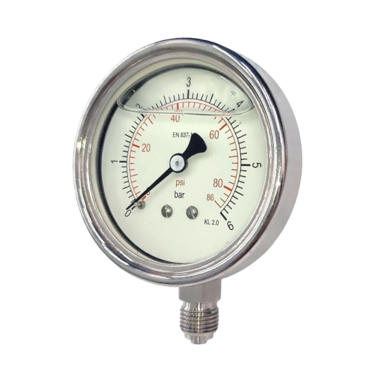 Manometru inox WINTERS cu glicerină 0-6 bar D63mm axial DN1/4'' - preț ...